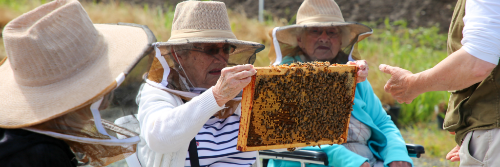Bria Communities Bee Well Project